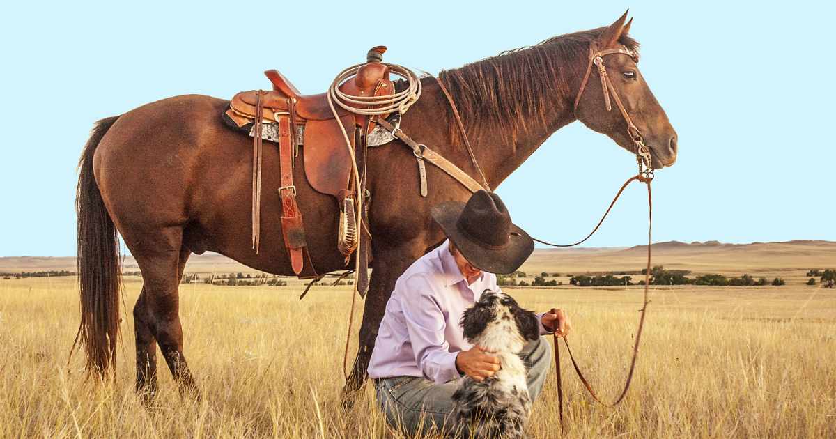 1000 Innovative And Distinctive Ranch Names (2024) - Agent Writing